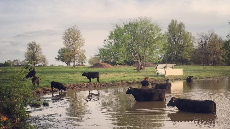 Contact – Walker Ranch